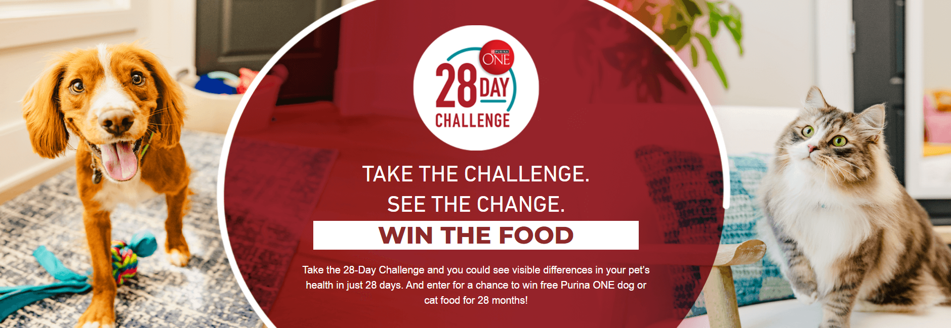 TrySpree - A Purr-fect 28 Days: Enter Nestle Purina's 28 Day Challenge Sweepstakes