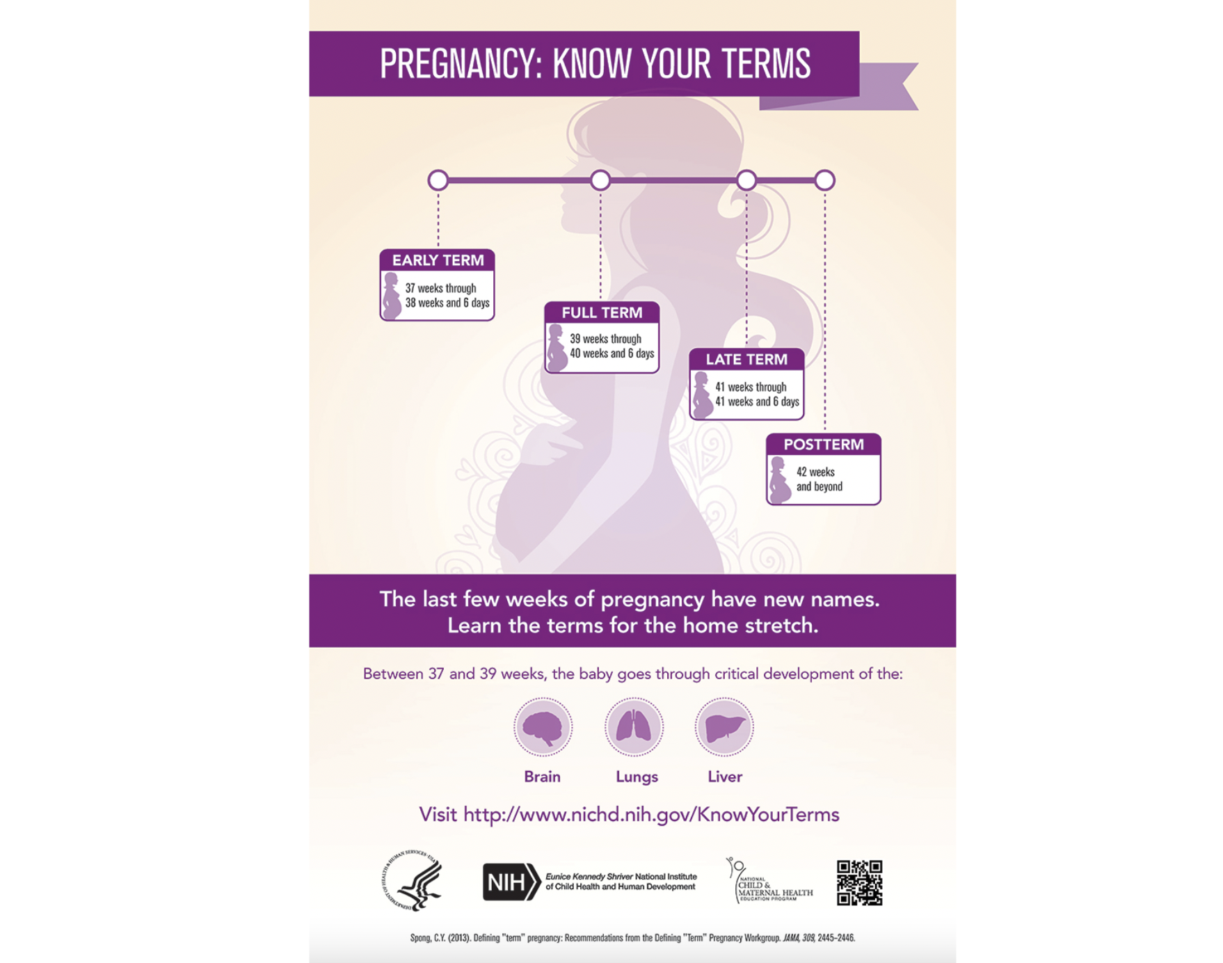 TrySpree - Promote Healthy Pregnancies – FREE NICHD Posters Available!