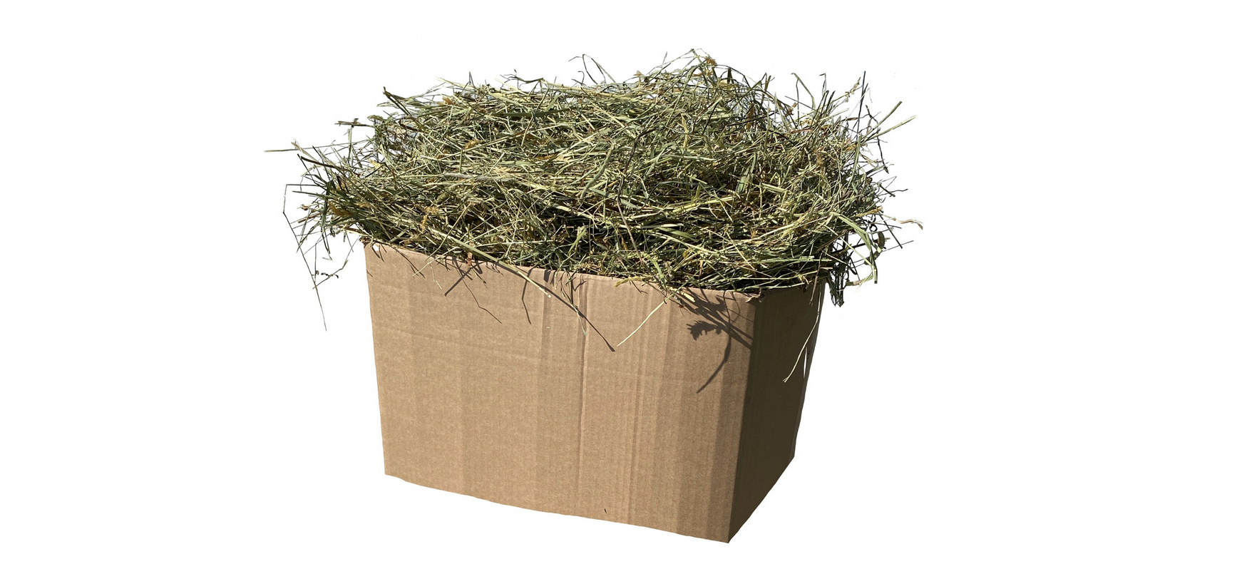 TrySpree - Nourish Your Small Pets with a FREE Hay Sample