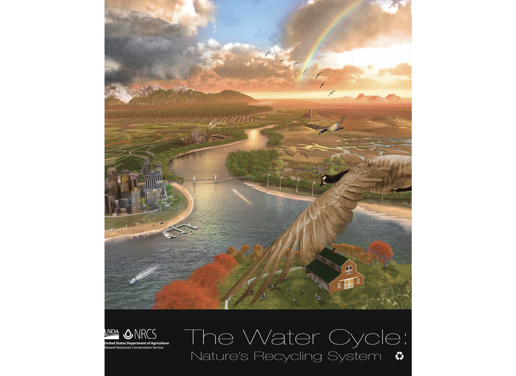 TrySpree - Make a Splash in Science Class – FREE Water Cycle Poster!