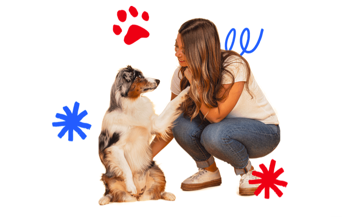 TrySpree - Paws Up! Get 2 FREE Months of DOGTV!